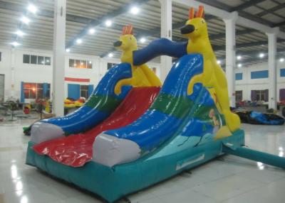 China Big Party Water Slide Bounce House , Outdoor Games Water Park Little Tikes Water Slide for sale