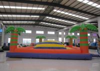China Playground Inflatable Climbing Mountain for sale
