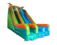 China Silk Printing Commercial Inflatable Dry Slide Outdoor Jumping Bouncer Slide for sale