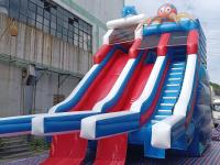 China Commercial Outdoor Giant Inflatable Water Slide Dolphin Octopus Cartoon Inflatable Double Slide For Kids And Adults for sale