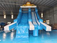 China Commercial Outdoor Giant Inflatable Water Slide Octopus Cartoon Inflatable Water Slide For Kids And Adults for sale
