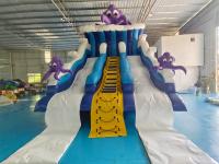 China New Design Popular Inflatable Slide Ocean Octopus Cartoon Party Inflatable Dry Double Slides For Kids And Adults for sale