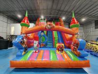 China Popular Commercial Inflatable Slides PAW Patrol Theme Inflatable Slides Castle For Kids And Adults for sale