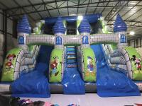 China Disney Cartoons Commercial Inflatable Water Slides Fun Castle Mickey Painting High Standard slide for sale