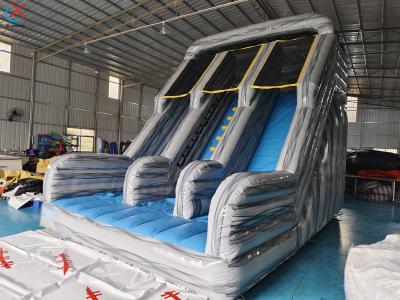 China Factory Inflatable Slide Castle Inflatable Double Dry Slides For Kids And Adults for sale