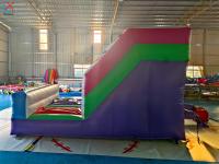 China Commercial Inflatable Slide Bouncy Slide Mickey Mouse Inflatable Slides For Sale for sale