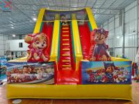 China Commercial PAW Patrol Inflatable Dry Double Slide for Outdoor Events for sale