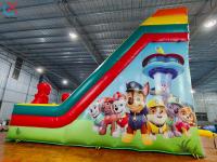 China Commercial PAW Patrol Inflatable Dry Double Slide for Outdoor Events for sale