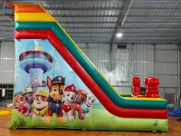 China Commercial PAW Patrol Inflatable Dry Double Slide for Outdoor Events for sale