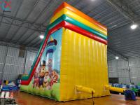 China Commercial PAW Patrol Inflatable Dry Double Slide for Outdoor Events for sale