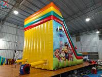 China Commercial PAW Patrol Inflatable Dry Double Slide for Outdoor Events for sale