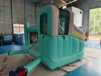China Commercial-Grade PVC Pastel Bouncy Castle with Slide for Kids Parties & Events for sale