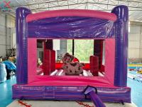 China Manufacturer PVC Inflatable Bounce House Pink Purple Commercial Jumping Castle Party Rental for sale