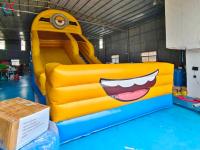 China PVC Giant Single Lane  Inflatable Dry Slide Inflatable Slide For Kids Party for sale