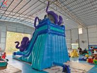 China Octopus Theme Inflatable Water Slide Giant Inflatable Water Slide With Pool for Outdoor for sale