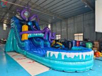 China Octopus Theme Inflatable Water Slide Giant Inflatable Water Slide With Pool for Outdoor for sale