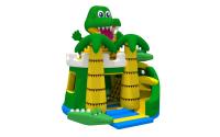 China Frog Indoor Inflatable Jumper Bouncer Castles Slide Waterproof And Fireproof for sale