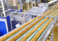 China DM113i Drum Motor Conveyor Roller IP69k Rated Food Grade Motorized Roller Conveyor Belt Drive Rollers for sale