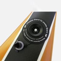 China 3.81m*0.55m Racing Sup Board  Plastic Stand Up Paddle 11kg for sale