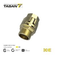 China 16Bar Vertical Brass Universal Check Valve 2 Inch Brass Spring Check Valve 30E for sale