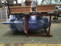 China High Efficiency Vertical Pressure Leaf Filter For Vegetable Oil Processing for sale