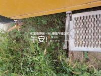 China Sany Used Rotary Drilling Rig SR405R 2021 6352hours for sale