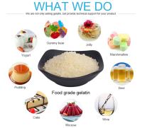 China Odorless All Natural Beef Gelatin Powder  For Baking 80 To 300 Bloom for sale