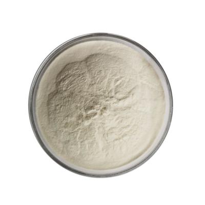 China 8- 60mesh Food Grade Gelatin Powder Unflavored 200 Bloom Gelatin Powder for sale
