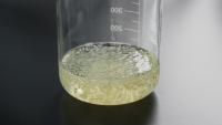 China Healthy 180~250 Bloom Gelatin Powder Beef Gelatine Powder 99% CAS 9000-70-8 for sale
