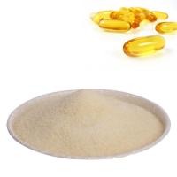 China Food Level Yellow Edible Gelatin Powder Bloom 280 25kgs/Bag for sale