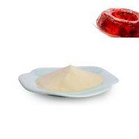 China ISO Certified White Food Edible Gelatine Powder As Cake Making Additive for sale