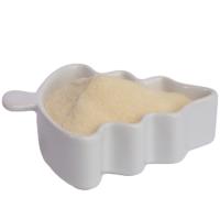 China 25kgs/Bag Pork Gelatin Powder 220 Bloom Halal Unflavored Gelatin for sale