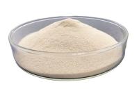 China ISO Natural Pork Gelatin Powder Food Grade Gelatin Powder 60mesh for sale