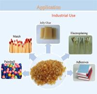 China Technical Grade Industrial Gelatin Powder 25kg/Paper Bag Multiple Use for sale
