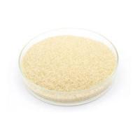 China High Transparency 99%Min Organic Gelatin Powder Carrageenan Thickener for sale