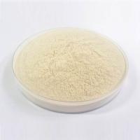 China High Purity Gelatin  In Capsules 25kg for sale