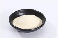 China CAS 9000-70-8 Halal Pure Gelatin Powder For Food  Beverage  60mesh for sale