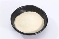 China CAS 9000-70-8 Halal Pure Gelatin Powder For Food  Beverage  60mesh for sale