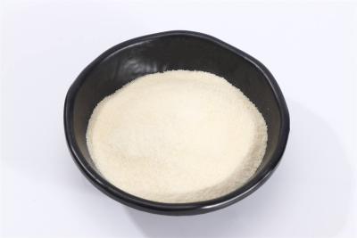 China CAS 9000-70-8 Halal Pure Gelatin Powder For Food  Beverage  60mesh for sale