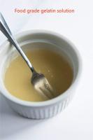 China High Protein Edible Gelatin Powder Plain Gelatin Powder CAS 9000-70-8 for sale