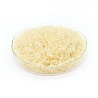 China Bloom 200 220 240 260 280 300 Bovine Gelatin Powder From Beef Skin Hides ISO for sale