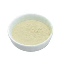 China Industrial 99%min Bulk Gelatine Powder Gelatin For Thickening High Purity for sale
