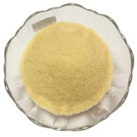 China Meat Industry Industrial Bone Gelatin Powder Technical Gelatin Odorless for sale