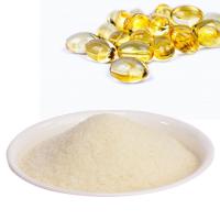 China Halal Beef Gelatine Powder 25kgs/Bag Food Additive Gelatin  Multiple Use for sale