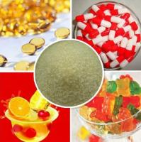 China Food Additive 250 Bloom Gelatin Powder Halal Gelatine Powder For Bakery for sale