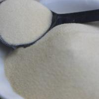China 40mesh Unflavoured Beef Gelatin Powder 99% CAS 9000-70-8 Food Grade for sale