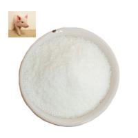 China Multifunctional  Animal Bone Gelatin Powder Collagen Gelatin Powder 220bloom for sale