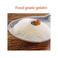 China ISO CAS 9000-70-8 Pure Gelatin Powder For Yogurt Production 95% Protein for sale