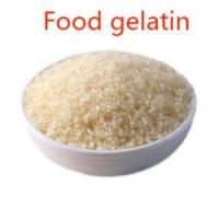 China ISO HALAL Organic Beef Gelatin Powder Protein 95% for sale