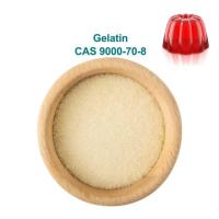 China Edible Food Grade Pork Gelatin Powder 95% Protein CAS 9000-70-8 ISO for sale